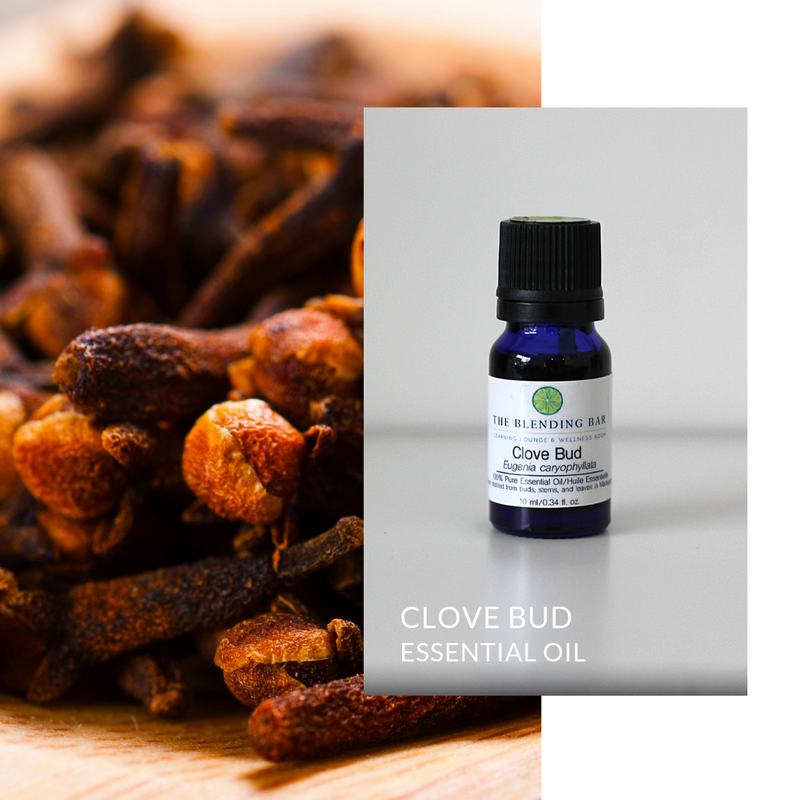 Clove Bud Essential Oil – The Blending Bar Aromatherapy