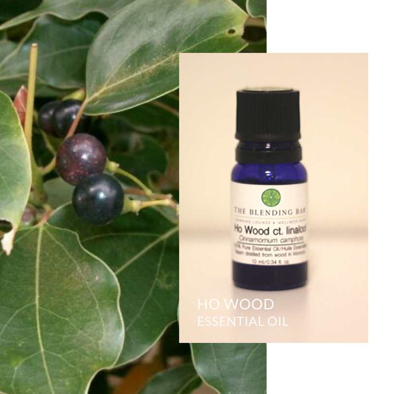 Ho Wood – The Blending Bar Aromatherapy