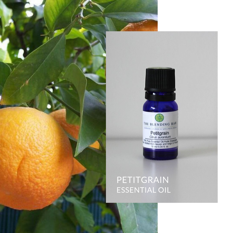 Petitgrain Essential Oil – The Blending Bar Aromatherapy