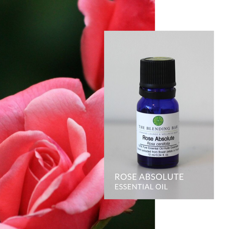 Rose Absolute – The Blending Bar Aromatherapy